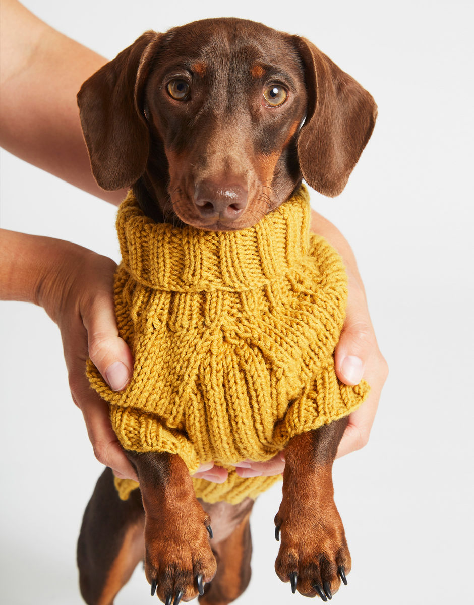 Dog Days Sweater | Wool and the Gang