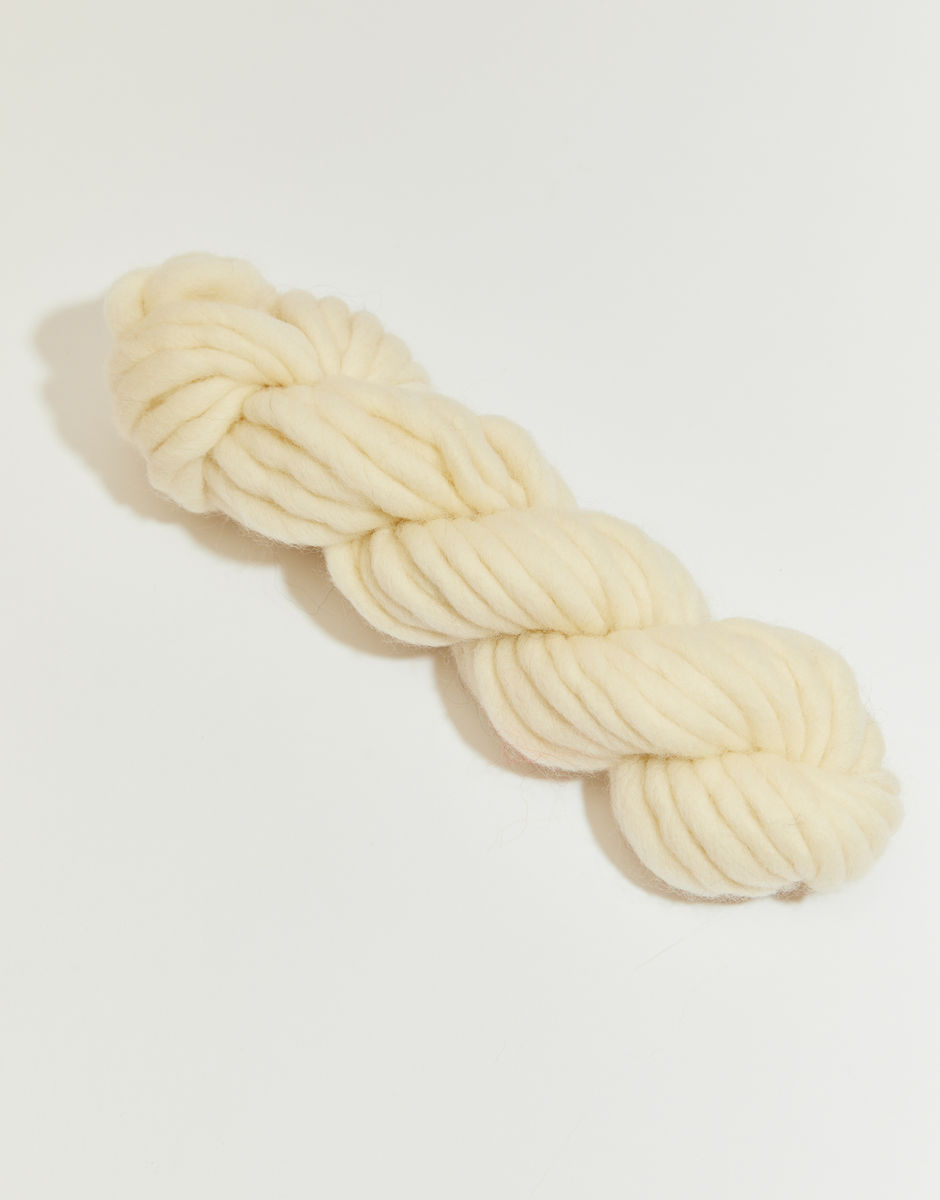 Crazy Sexy Wool Mini Hank | Wool and the Gang