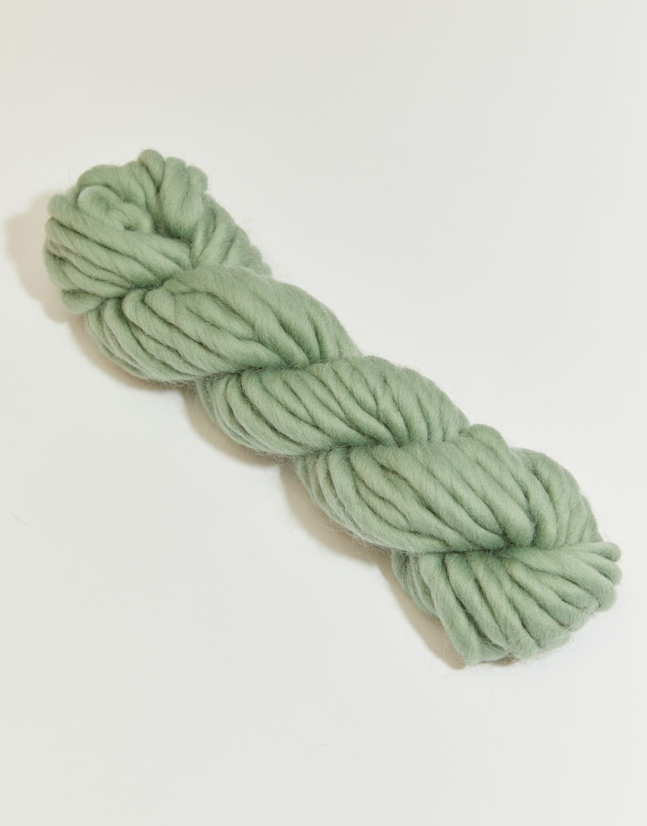 Crazy Sexy Wool Mini Hank | Wool and the Gang