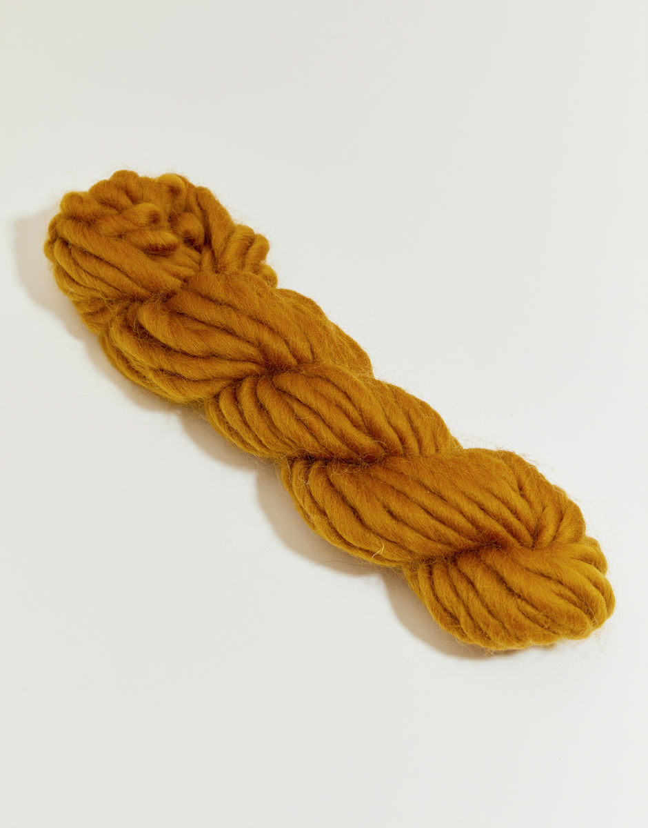 Crazy Sexy Wool Mini Hank | Wool and the Gang