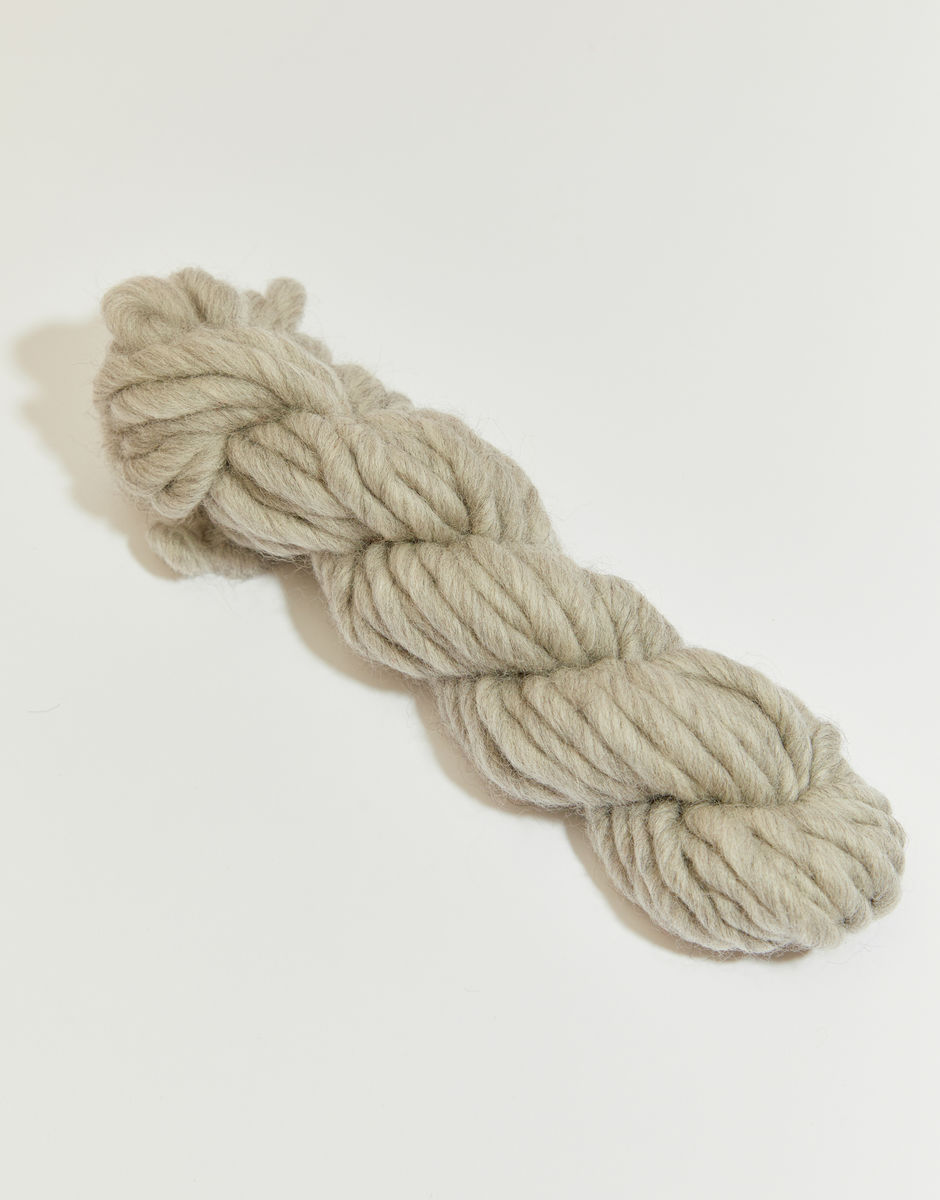 Crazy Sexy Wool Mini Hank | Wool and the Gang