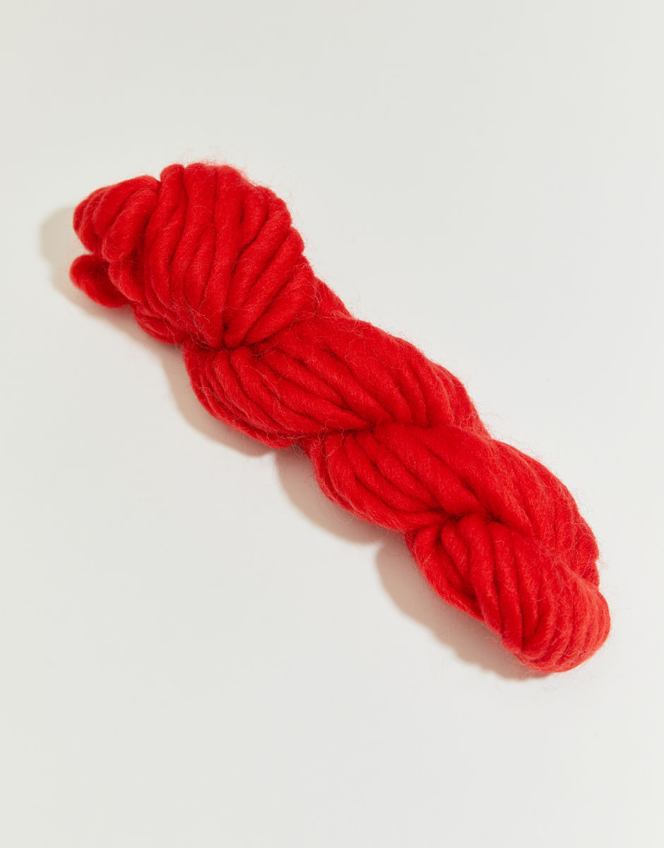 Crazy Sexy Wool Mini Hank | Wool and the Gang