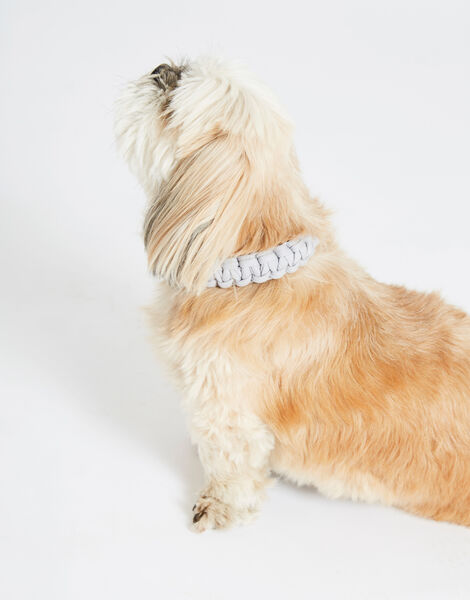 Howl Collar Pattern | Wool and the Gang