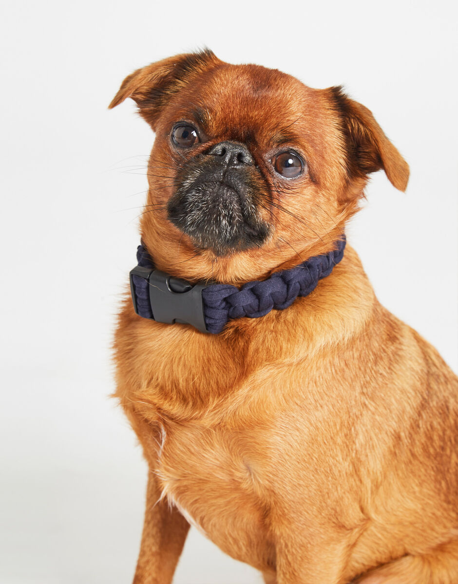 Howl Collar Pattern | Wool and the Gang