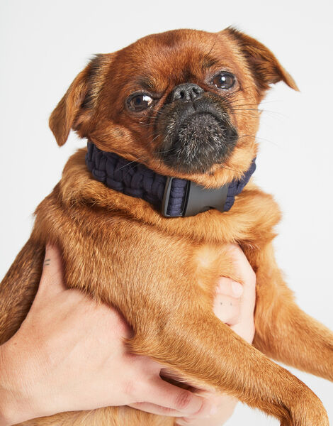 Howl Collar Pattern | Wool and the Gang