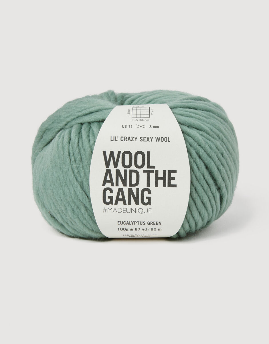 Lil Crazy Sexy Wool Wool And The Gang