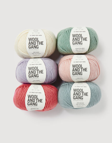 Lil Crazy Sexy Wool Bundle 6 Balls Wool And The Gang