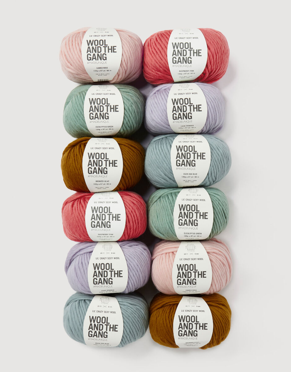 Lil' Crazy Sexy Wool Bundle - 12 balls | Wool and the Gang