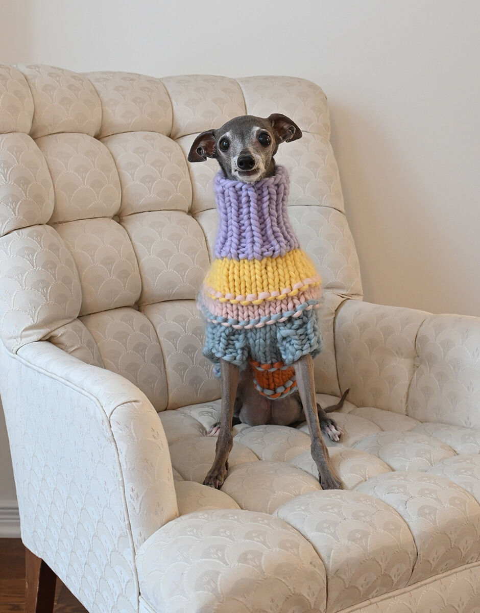 Zero to Hero Dog Coat Pattern | Wool and the Gang