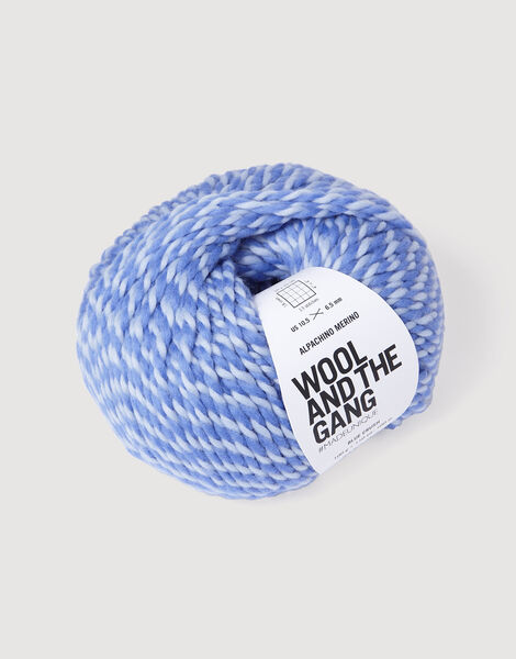 Alpachino Merino Twist | Wool and the Gang